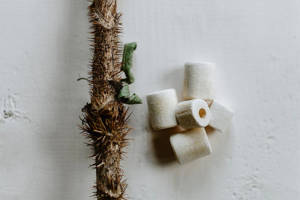 DEVILS CLUB HEALING PROTECTION BEAD - Tsain-ko Native Gift Shop